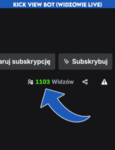 Kup widzów live na Kick (view boty) – szybka realizacja 24/7
